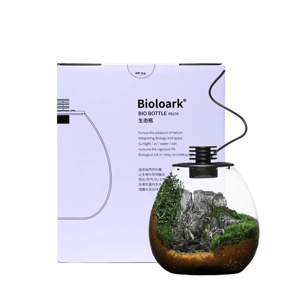 Terrarium with Integrated Grow Light – Bioloark Nano Moss Rounded ...