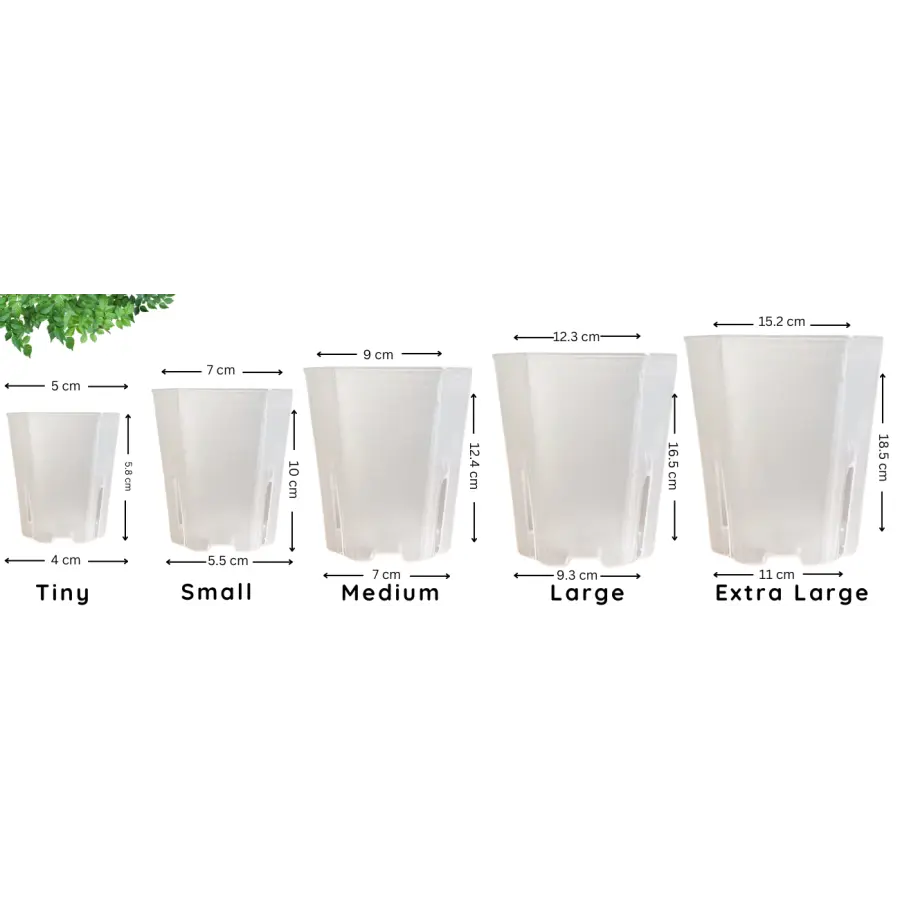 Translucent Square Grow Pots – Space-Saving and Efficient — Green My Space